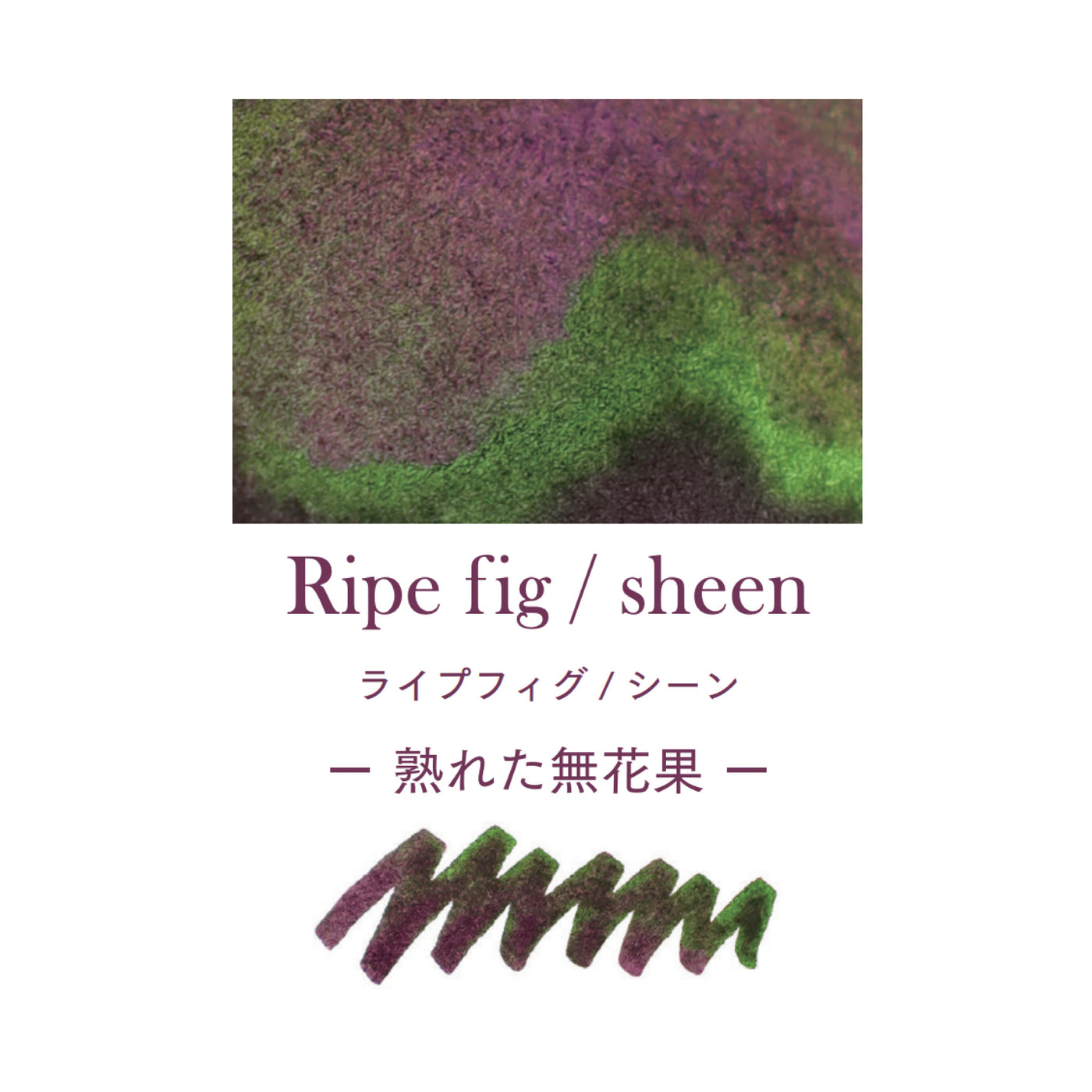 つけペン用ボトルインク Dipton Ripe fig / sheen ー 熟れた無花果 ー | 八文字屋OnlineStore